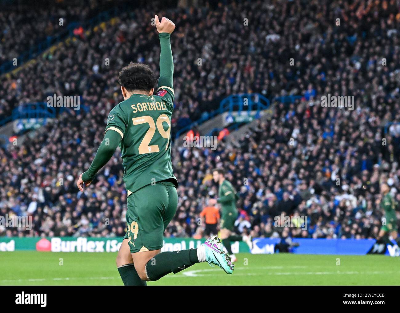 Matthew Sorinola of Plymouth Argyle in action and gestures, shouts ...