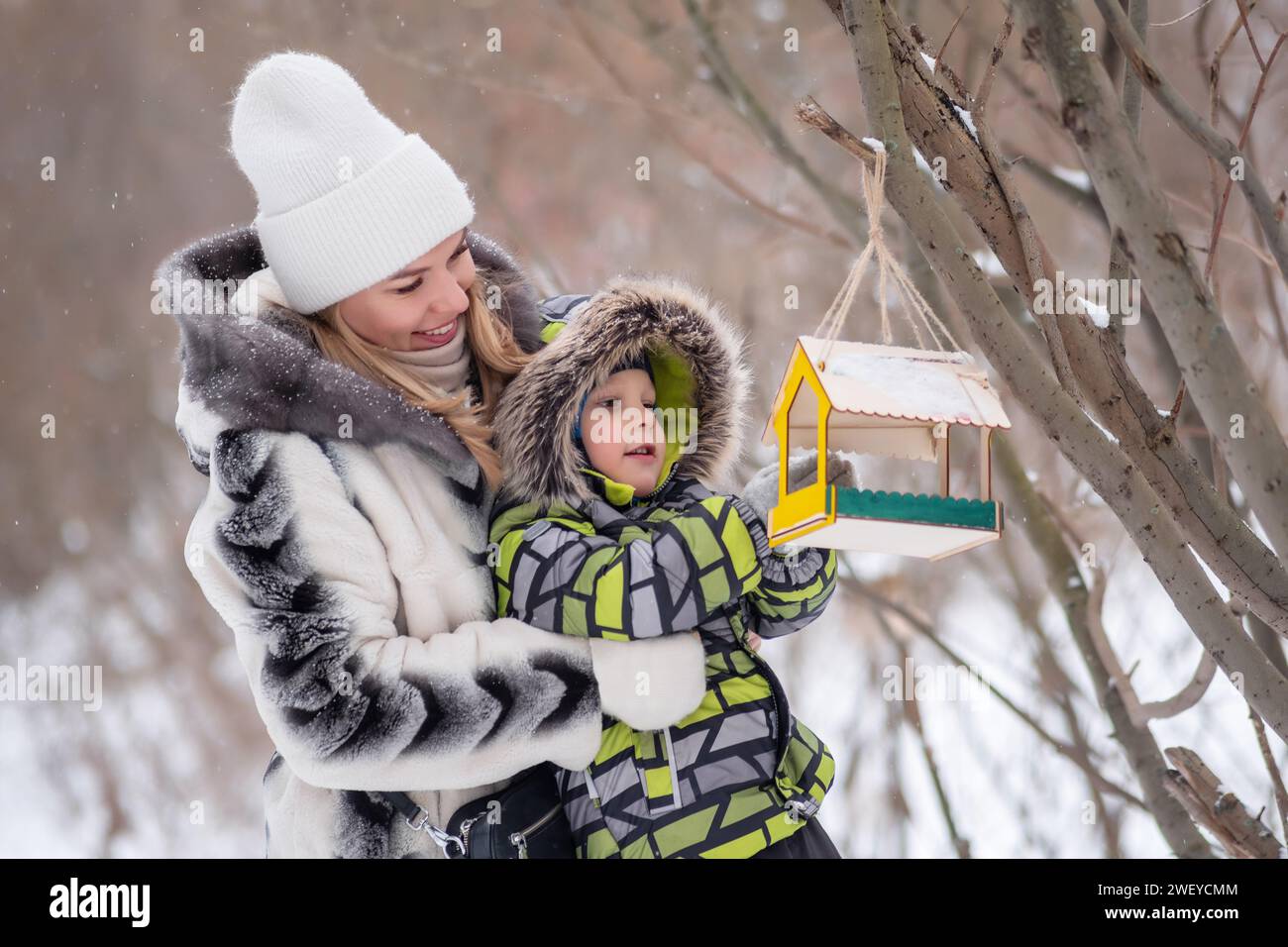 Birds using a bird feeder hi-res stock photography and images - Alamy