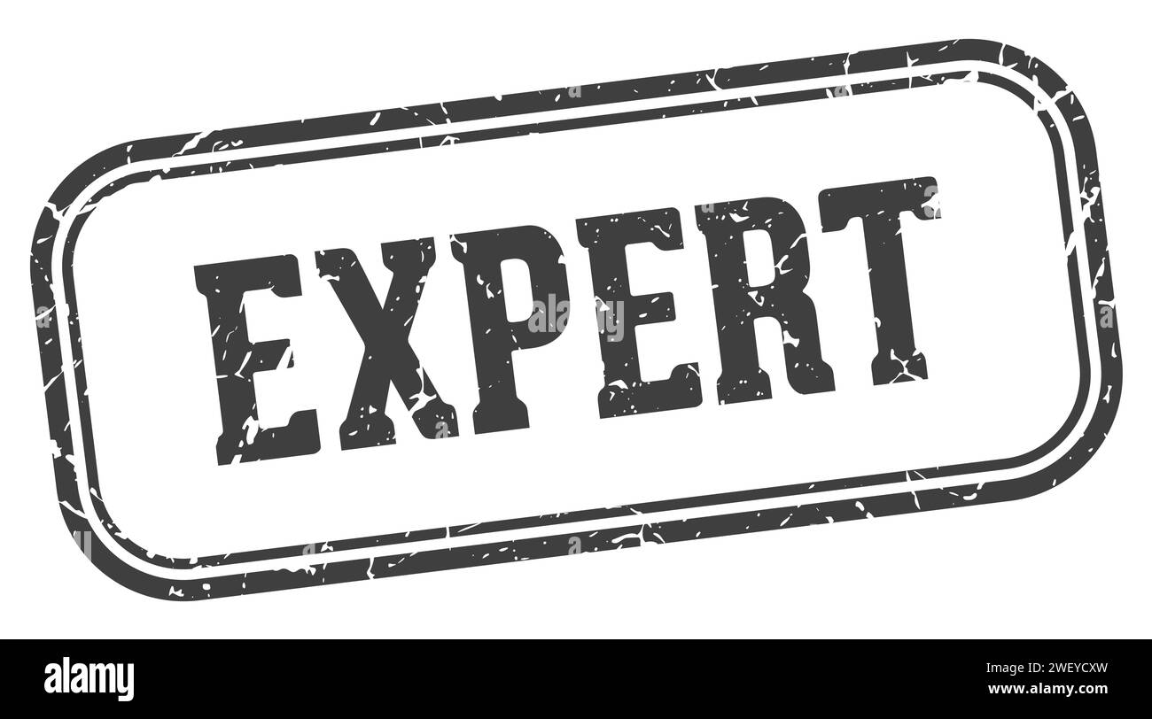 expert stamp. expert rectangular stamp isolated on white background ...