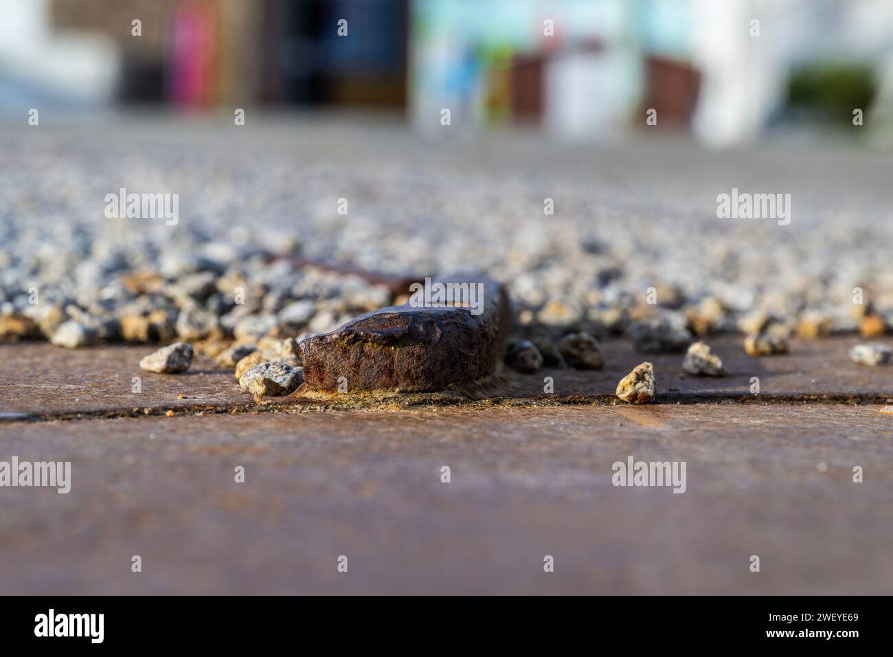 HEARTLANDS POOL CAMBOURNE CAMBORNE WORLD HERITAGE SITE MINING ENGINE ...