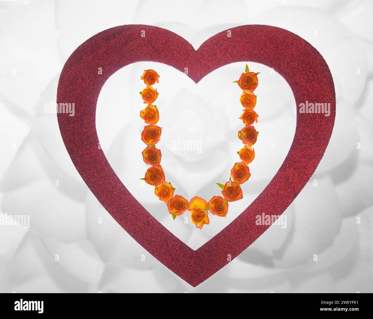 LOVE YOU in flora still life colorful concept expressing admiration ...