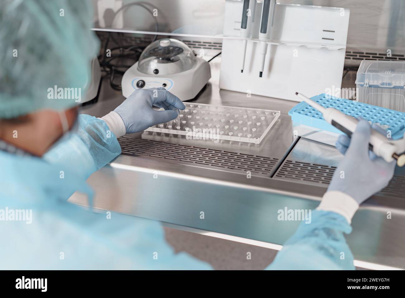 Back view of scientist is using micropipette for biochemical test ...