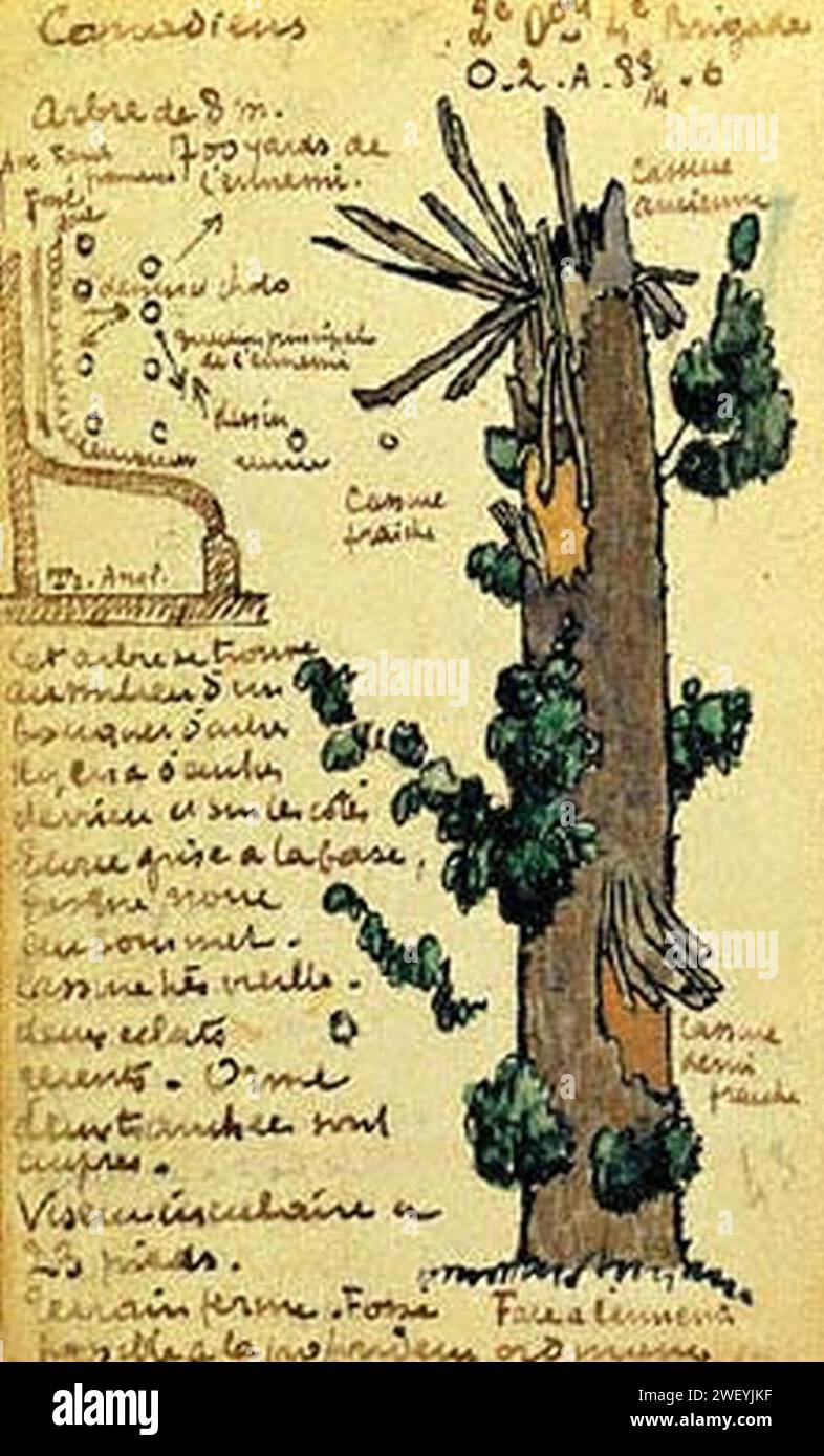 Andre Mare Camouflaged Iron Observation Tree (The Elm at Vermezeele ...