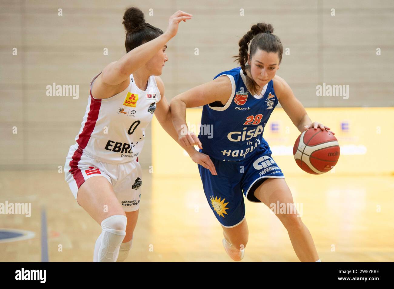 Halle, Deutschland. 27th Jan, 2024. Halle, Deutschland 27. Januar 2024: ...