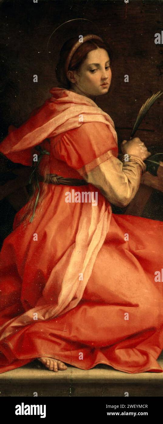 Andrea del sarto catherine hi-res stock photography and images - Alamy