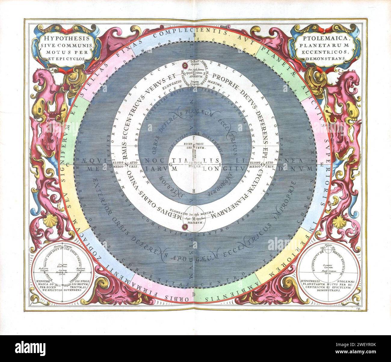 Andreas cellarius hi-res stock photography and images - Alamy