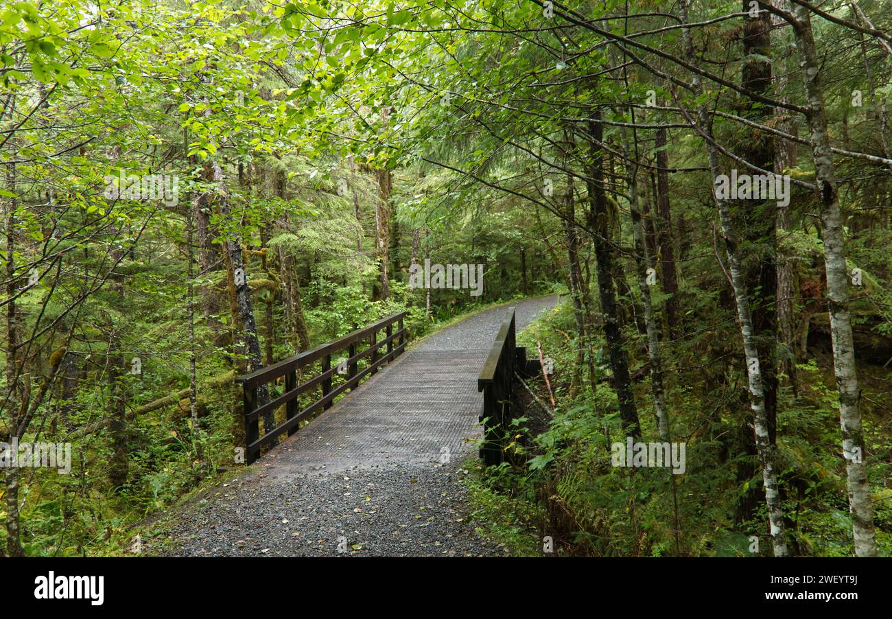 Alaska rainforest hi-res stock photography and images - Alamy