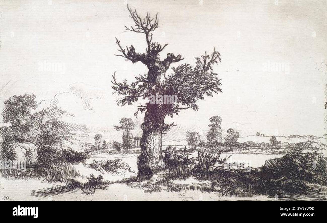 Andrew geddes hi-res stock photography and images - Alamy