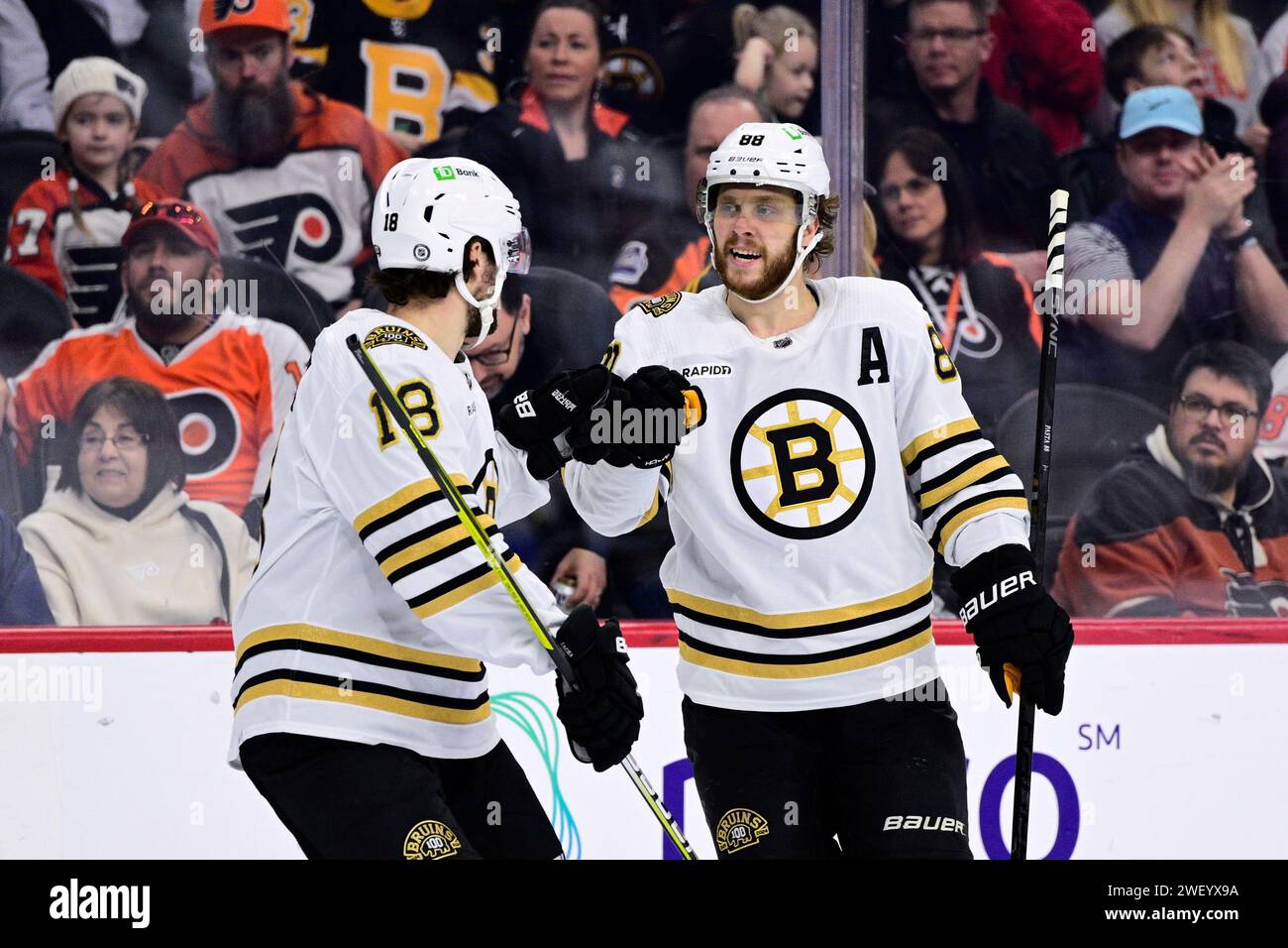 Boston Bruins' David Pastrnak, right, celebrates his goal with Pavel ...