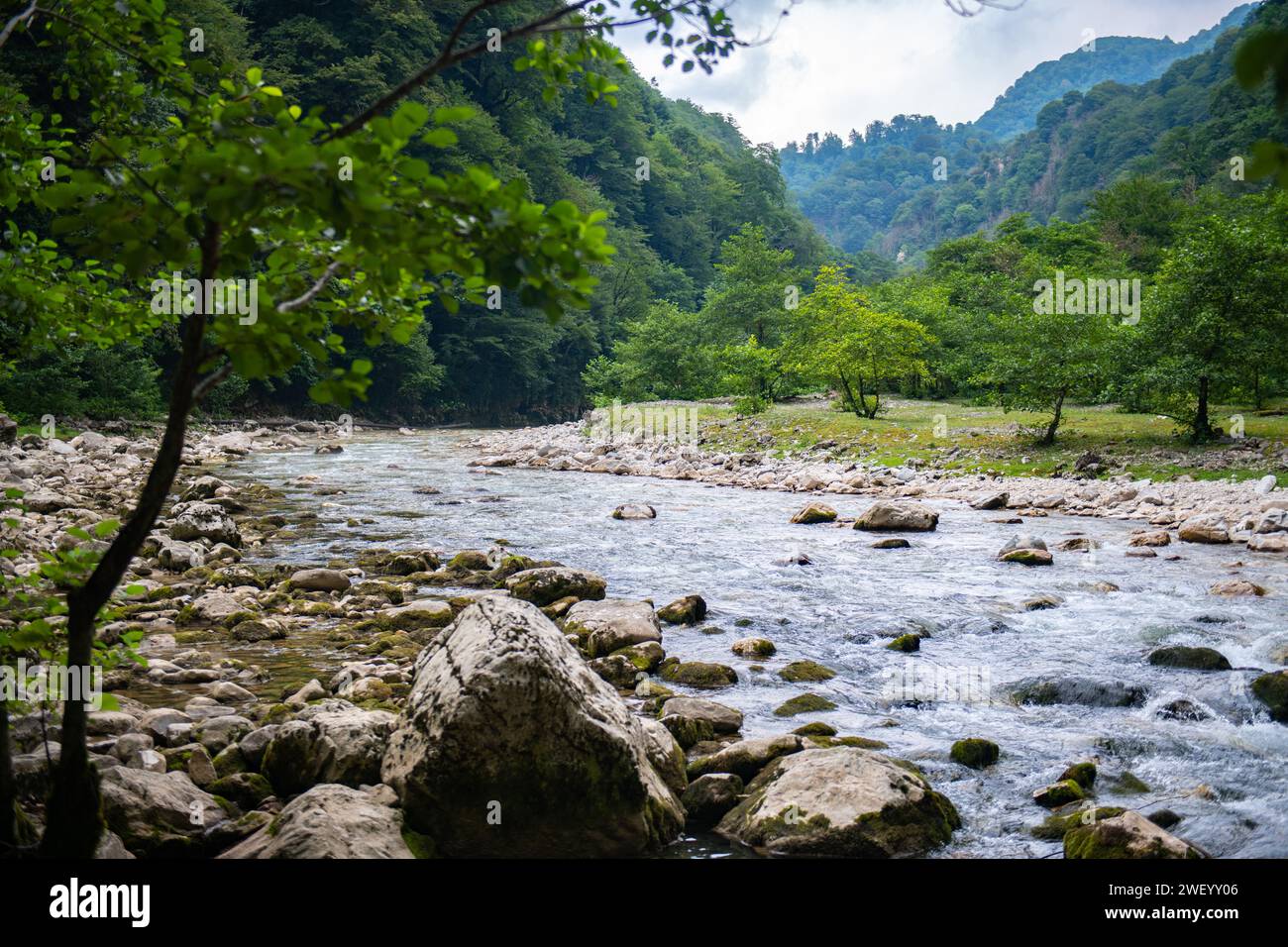 Captivating view serene river flowing hi-res stock photography and ...