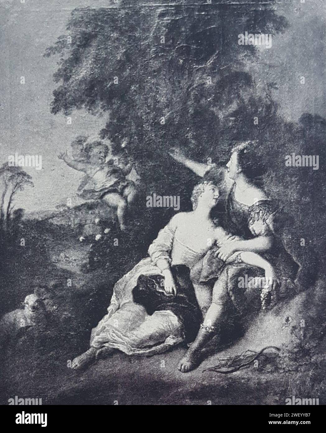 Medor hi-res stock photography and images - Alamy