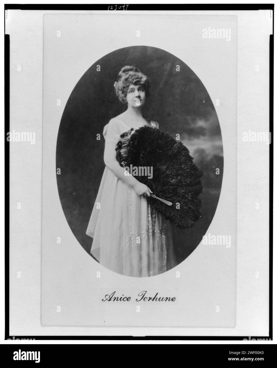 Terhune hi-res stock photography and images - Alamy