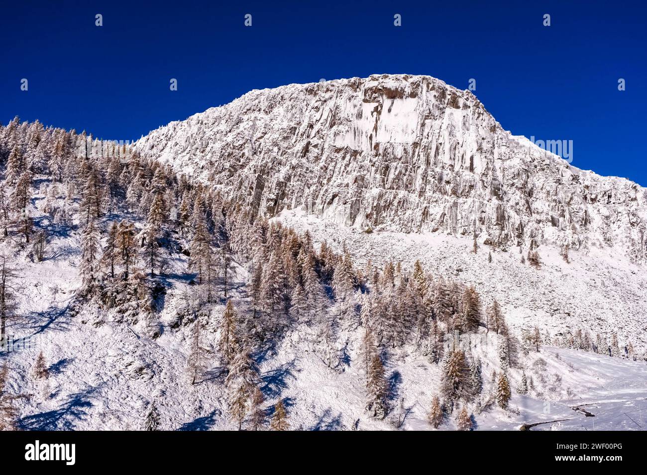 The snow-covered summit of Tognazza, seen from below Passo Rolle pass ...