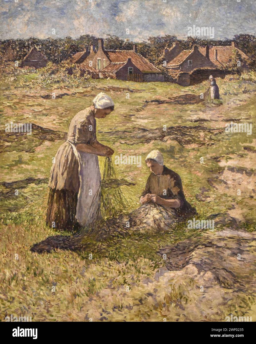 Anna Boch (1848-1936) Nettenboetsters in de duinen Stock Photo - Alamy