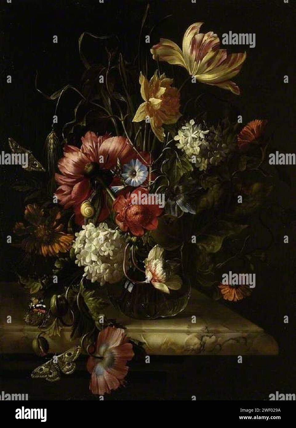 Anna ruysch hi-res stock photography and images - Alamy