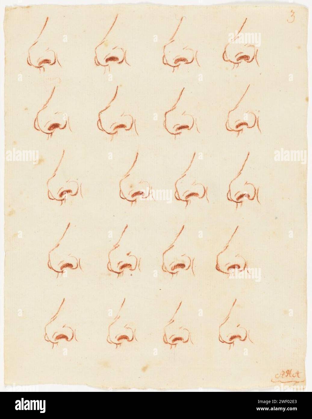 Anna Helena Alströmer - Study of noses, nr 3 Stock Photo - Alamy