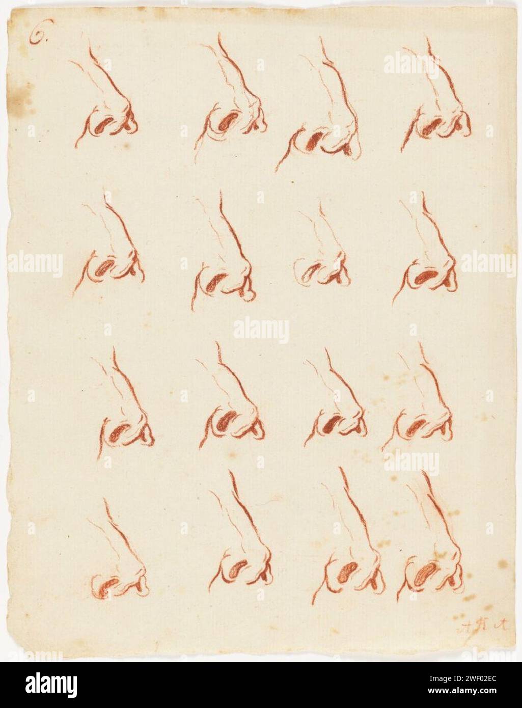 Anna Helena Alströmer - Study of noses, nr 6 Stock Photo - Alamy