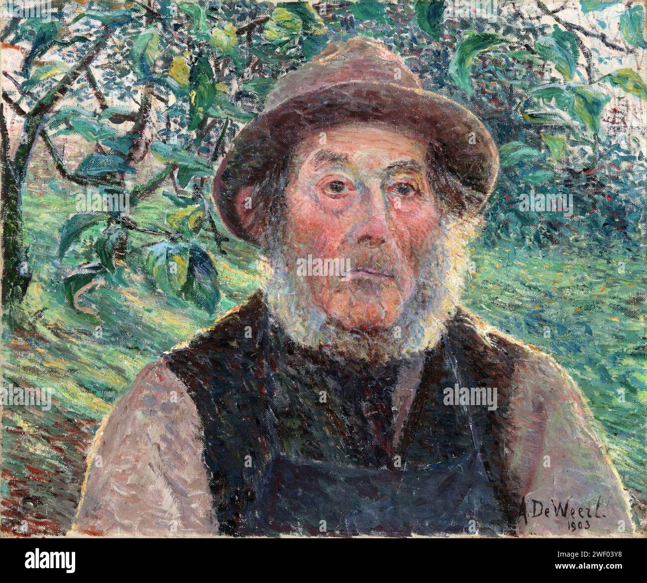 De weert hi-res stock photography and images - Alamy