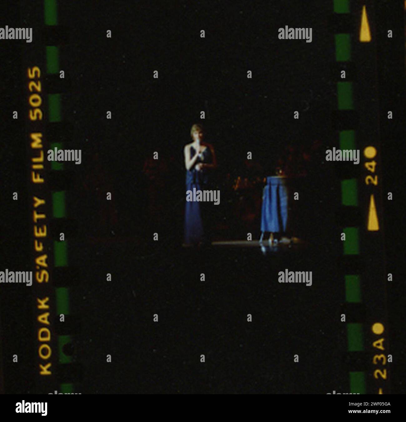 Anne Murray at Chrysler Hall performing in 1976 (cropped Stock Photo ...