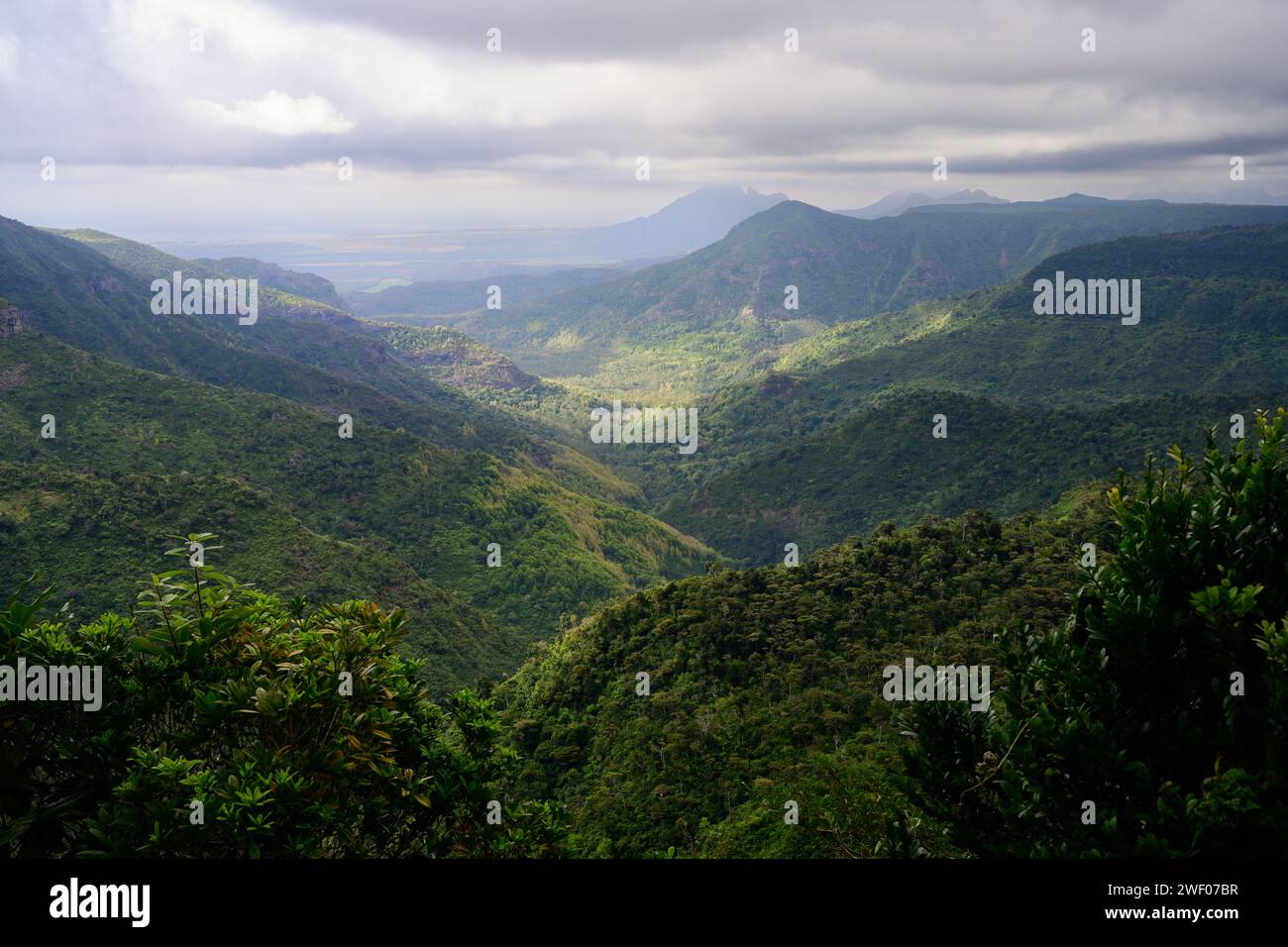 Black River Gorge Viewpoint with Lush Green Rainforest Valley in ...