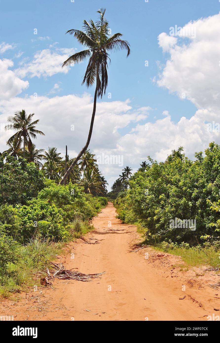 Traveling through rural Mozambique Stock Photo - Alamy