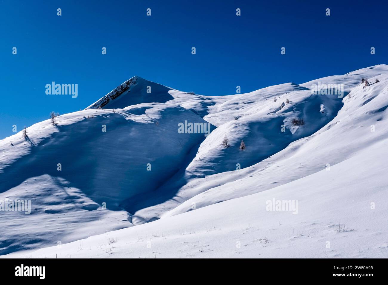 Structures of drifted snow on a hill with some lone yellow larch trees ...