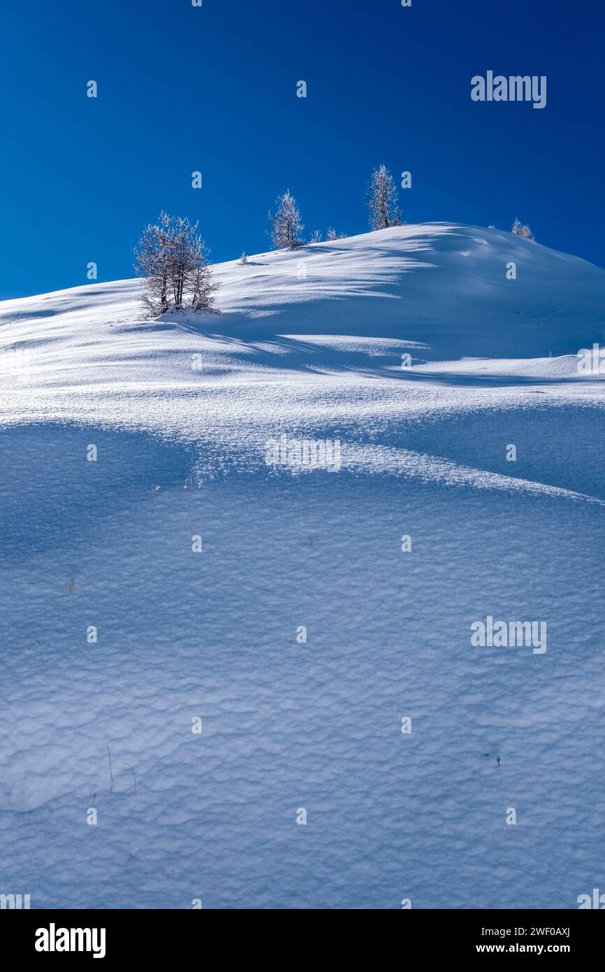 Dolomiten passo di rolle hi-res stock photography and images - Alamy