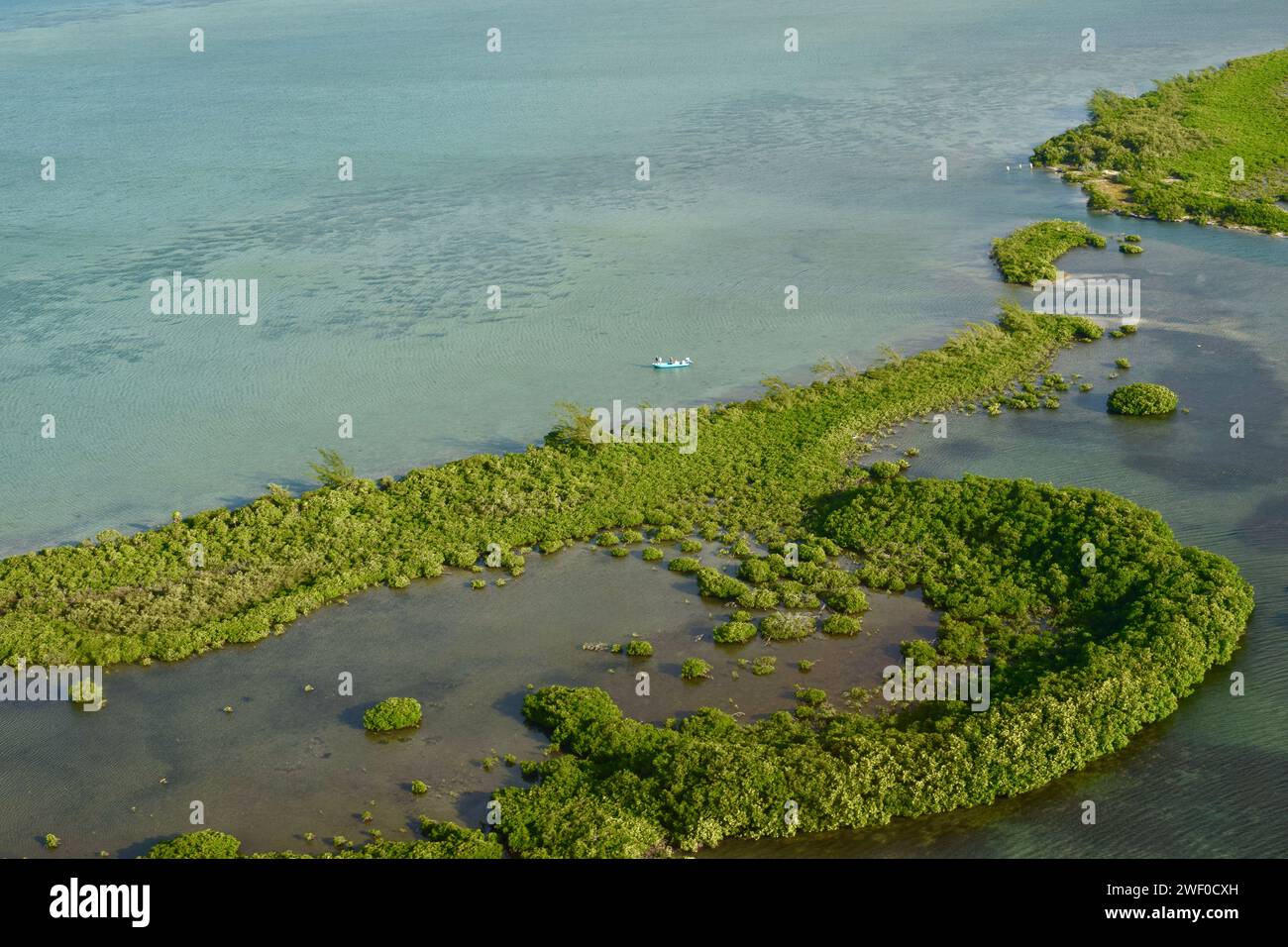 A view of mangroves from above while flying over Belizean cayes. Belize ...