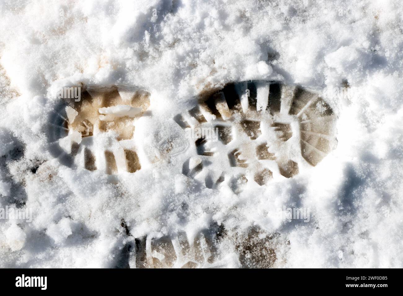 footprint in snow Stock Photo - Alamy