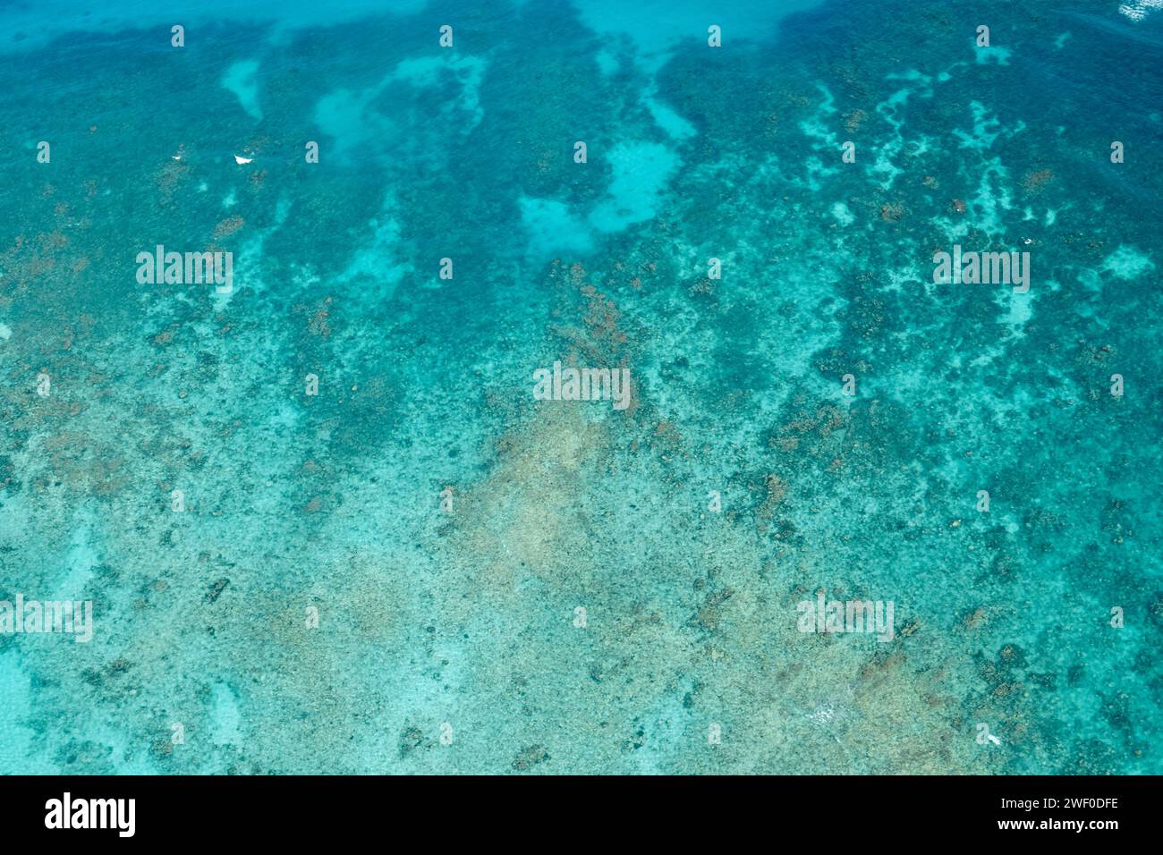 An aerial view of the Belize Barrier Reef, which is part of the ...