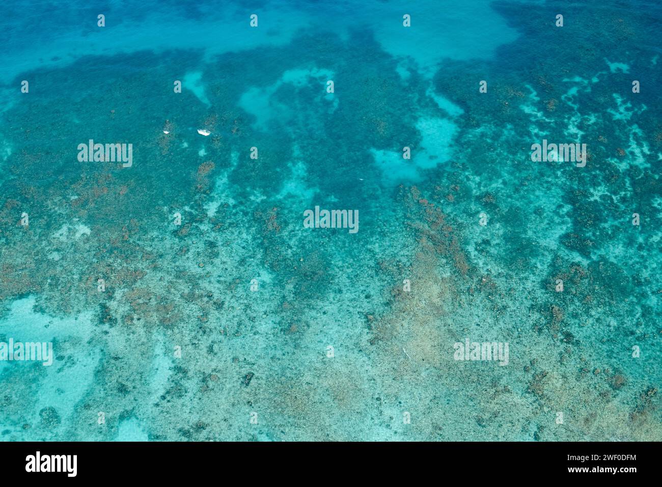 An aerial view of the Belize Barrier Reef, which is part of the ...