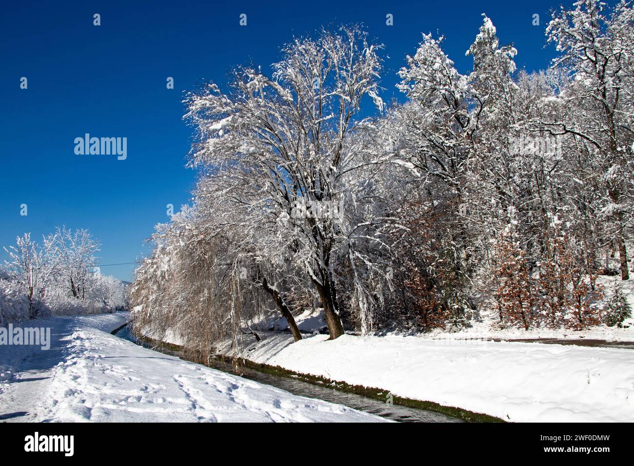 Snowy scene hi-res stock photography and images - Alamy
