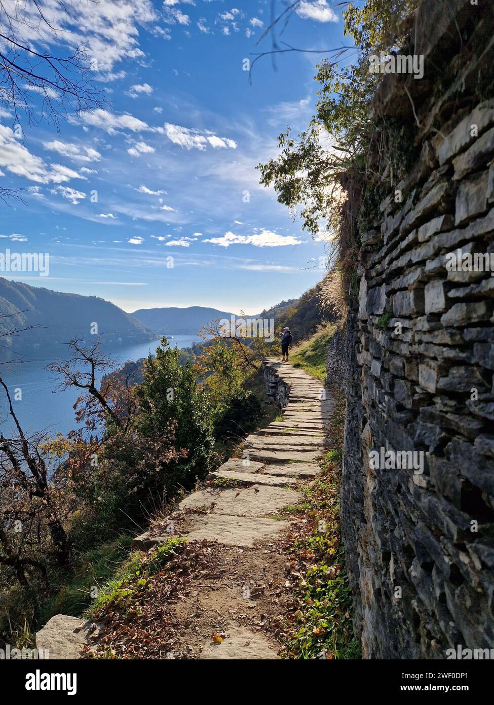 Stepping stone path hi-res stock photography and images - Alamy