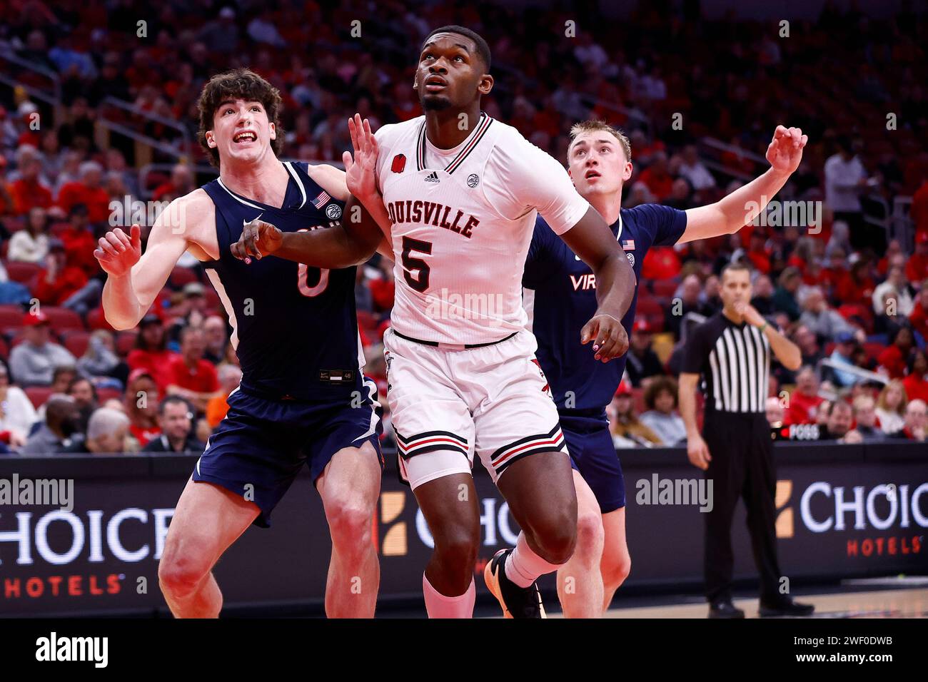 LOUISVILLE, KY - JANUARY 27: Louisville Cardinals forward Brandon ...