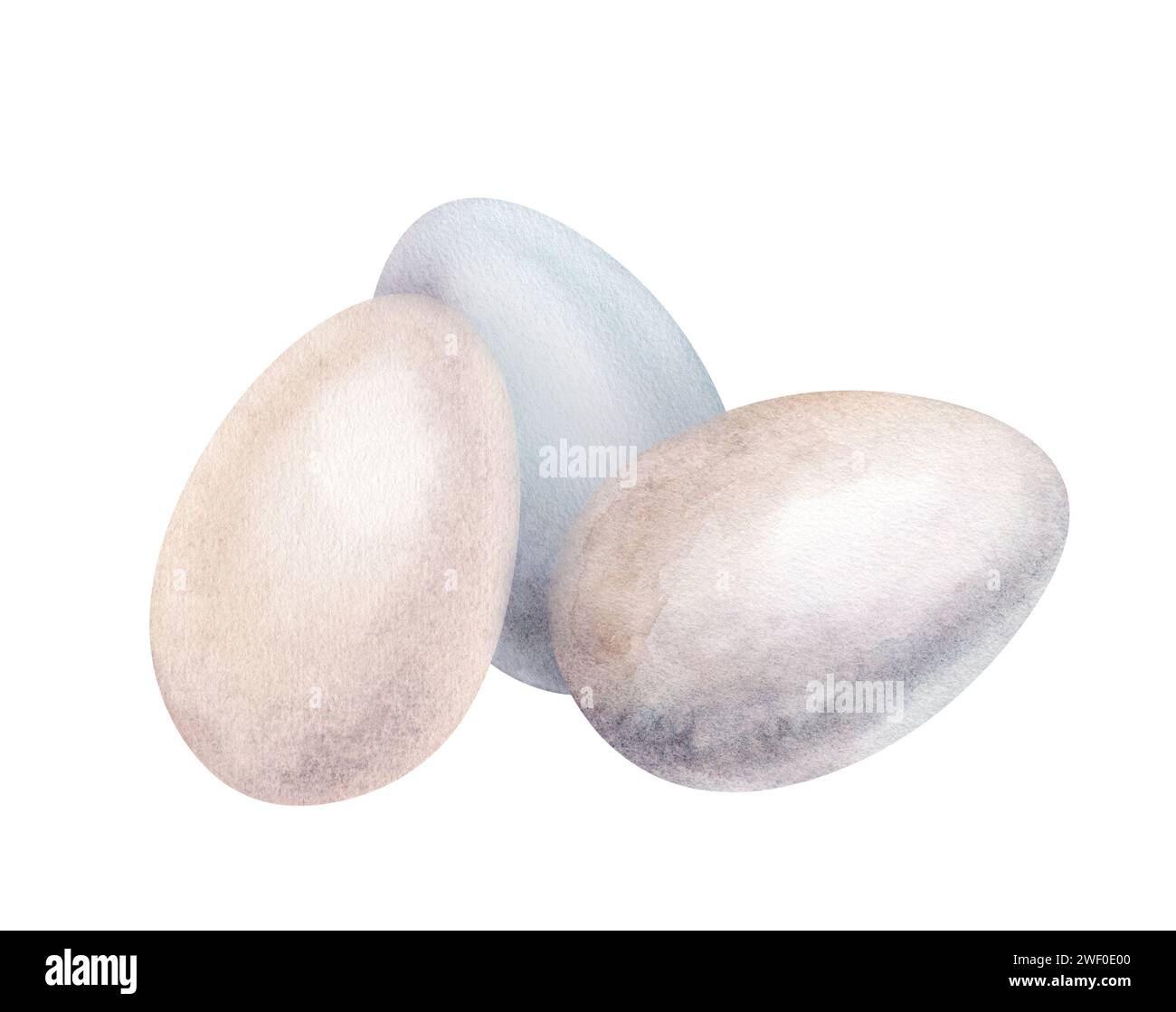 Three chickens eggs shell. Symbols of Easter celebration. Design for ...