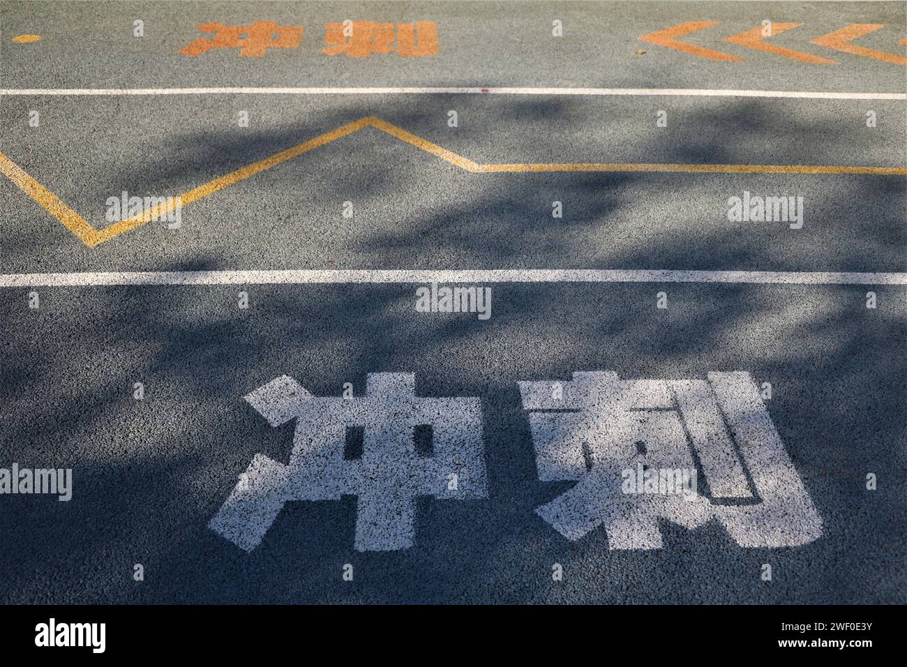 Bilingual street signage and traffic signal in Chinese and English ...