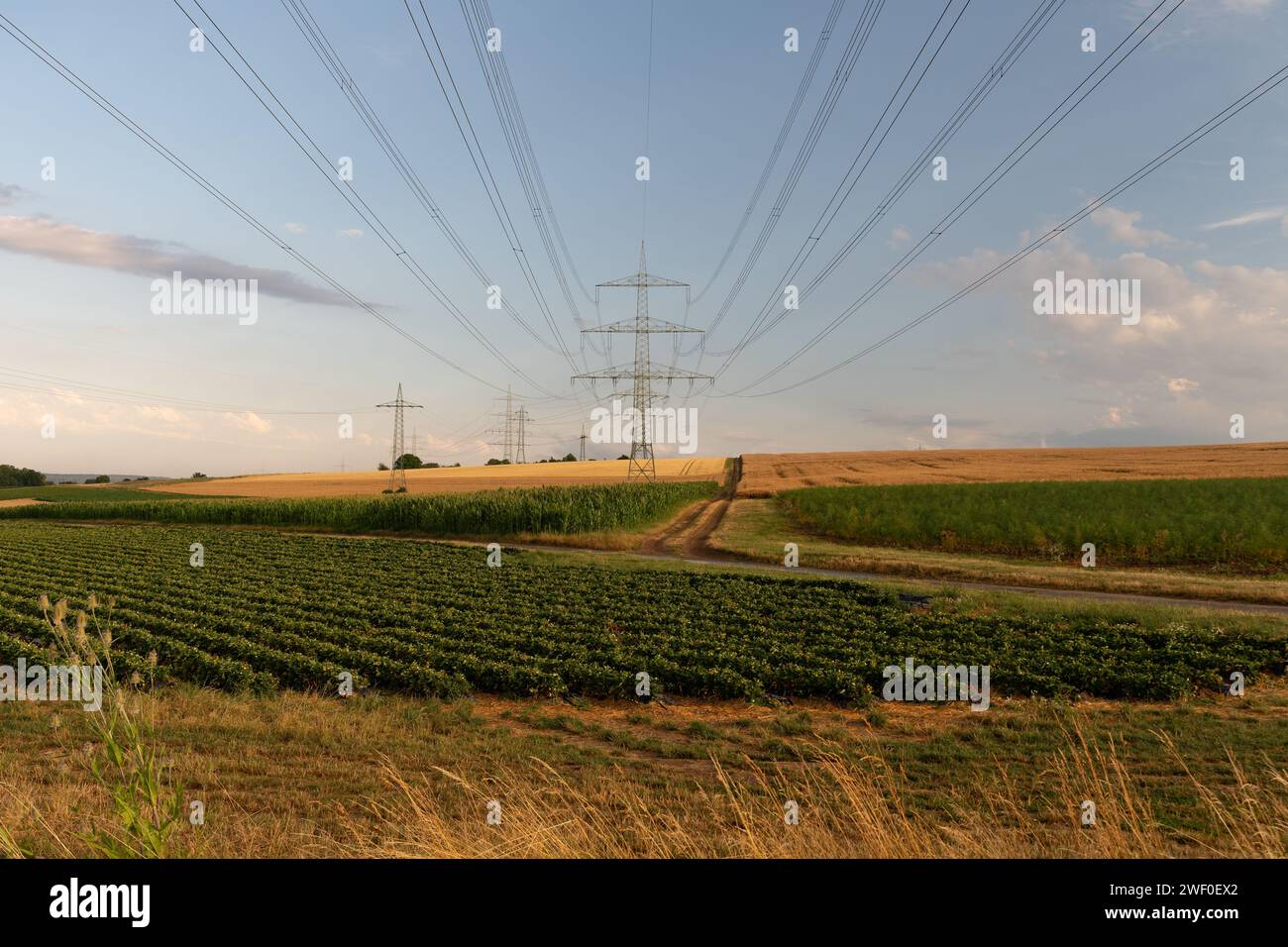 Power lines going through the fields in the evening light in germany ...