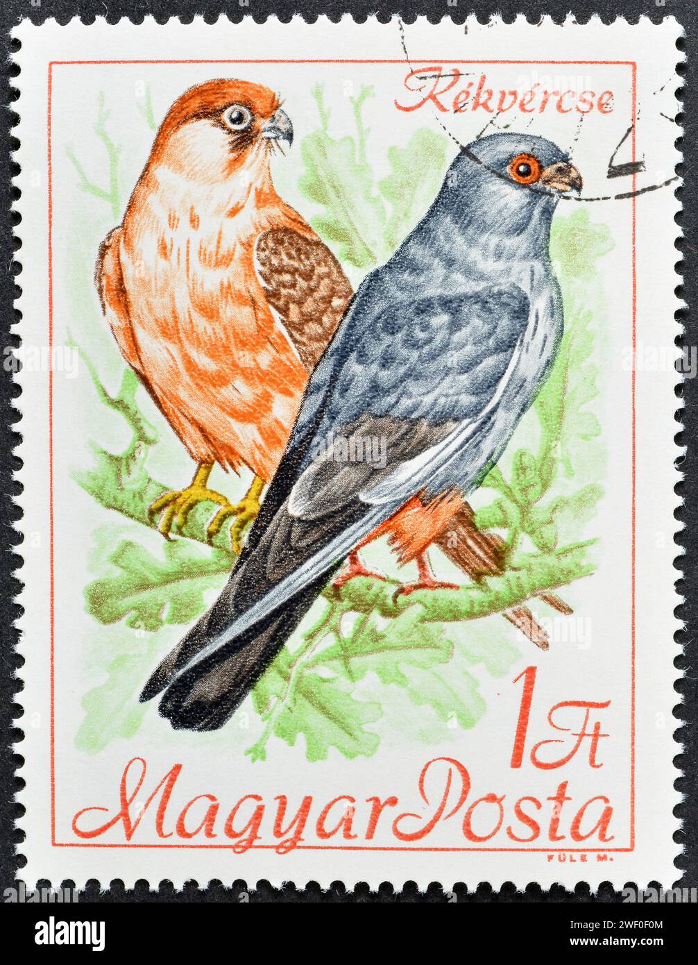 Cancelled postage stamp printed by Hungary, that shows Red-Footed ...
