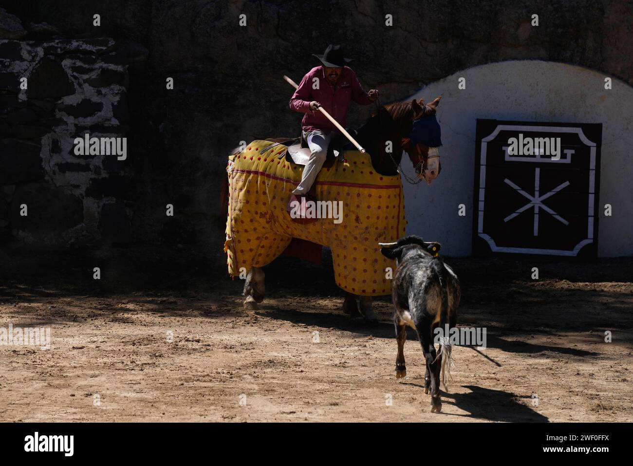 A "picador" or horseman with a lance, demonstrates how to goad a calf ...