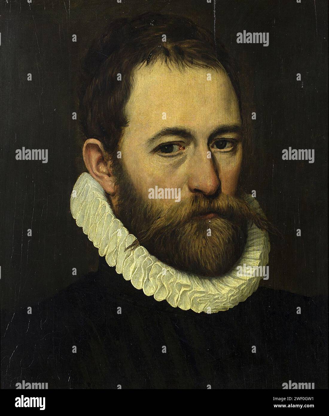 Witte kraag hi-res stock photography and images - Alamy