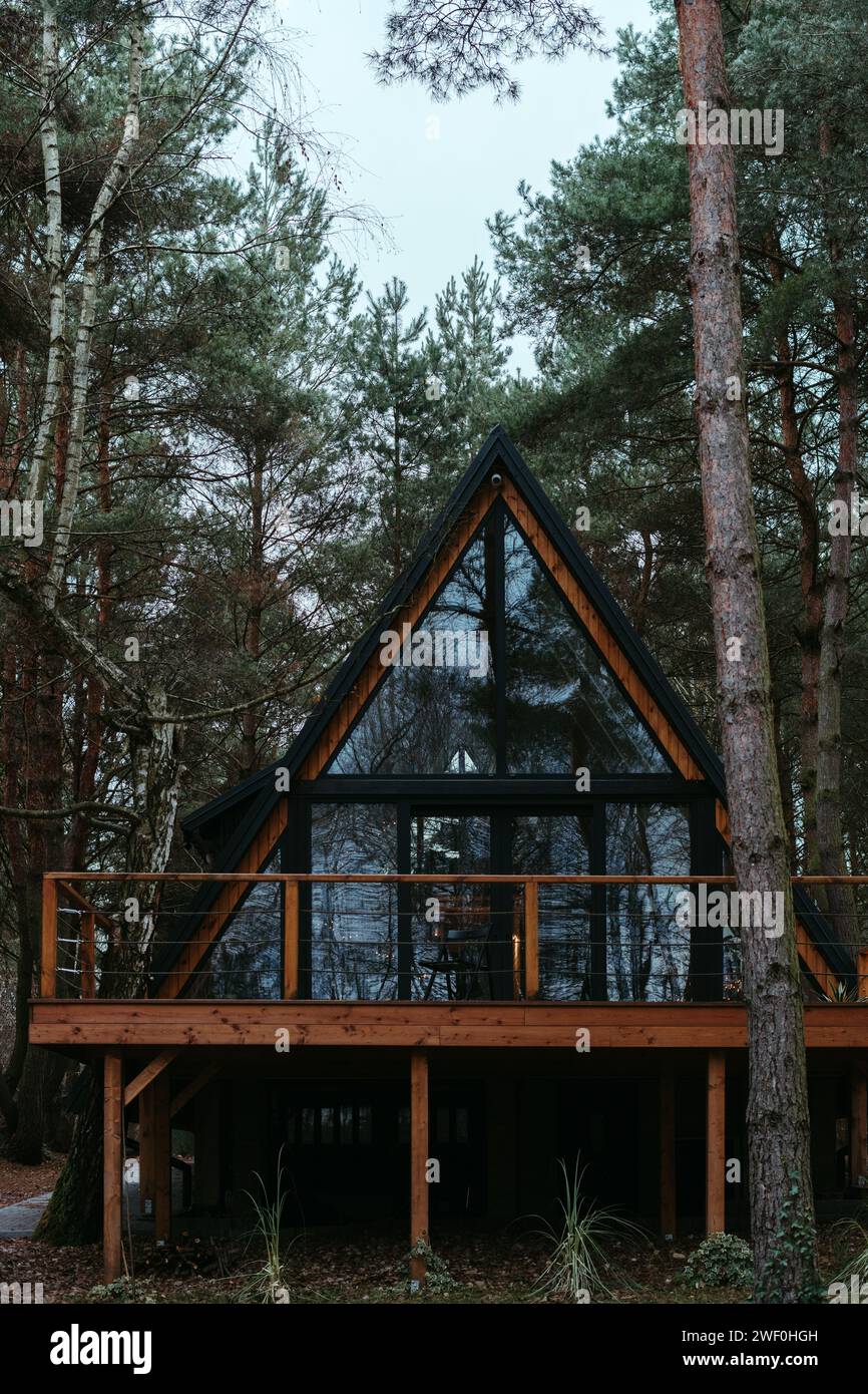 Modern wooden cabin in the forest surrounded by trees Stock Photo - Alamy