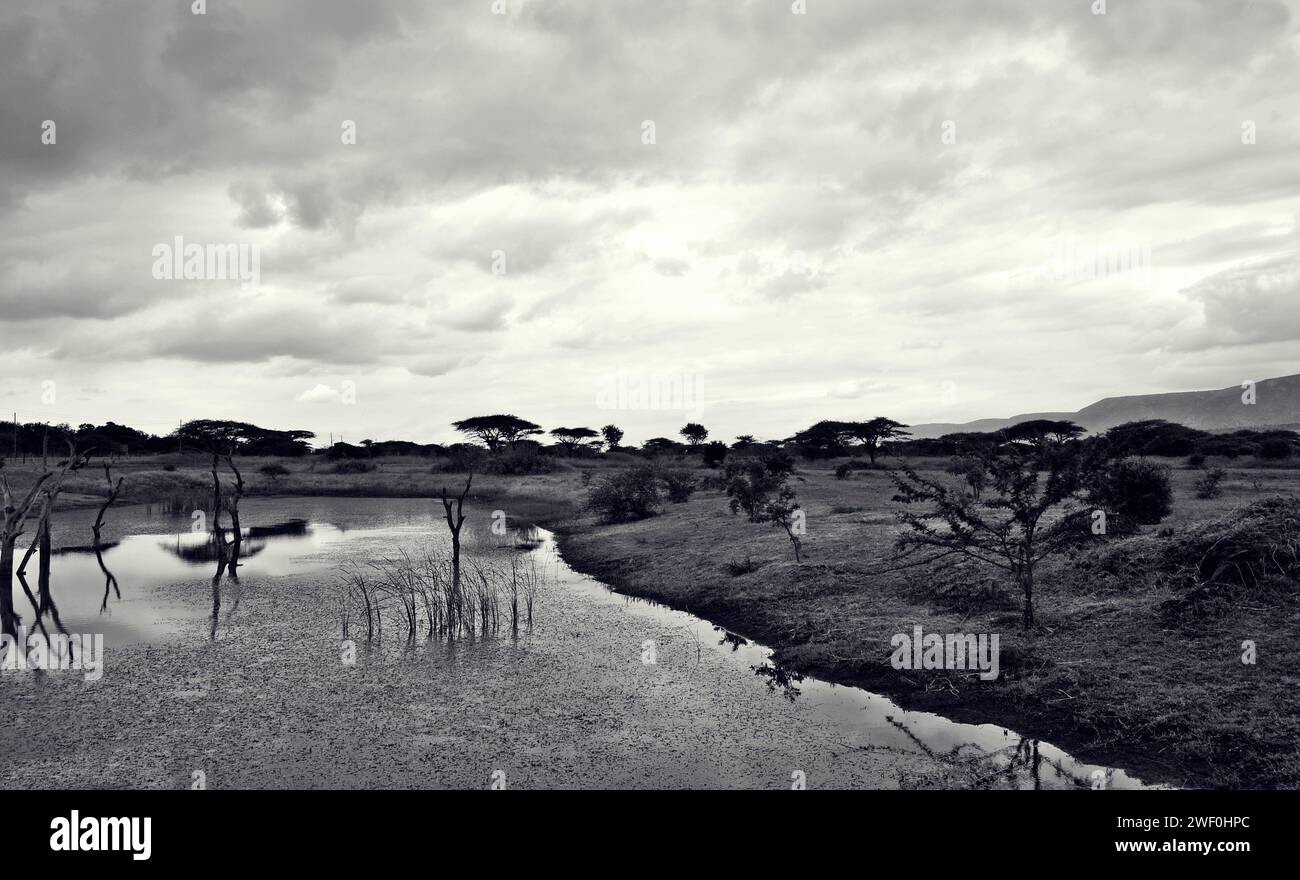 Kingdom of eswatini swaziland hi-res stock photography and images - Alamy