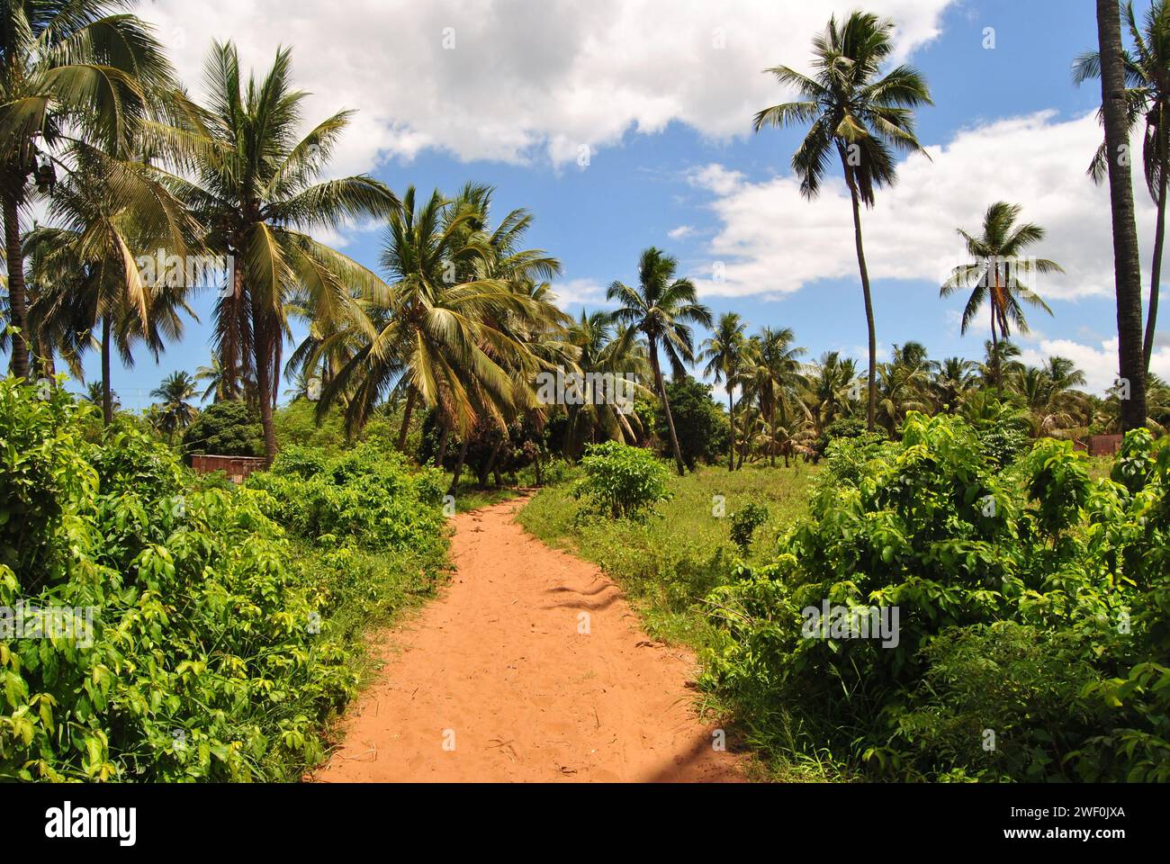 Road in Rural Mozambique Stock Photo - Alamy