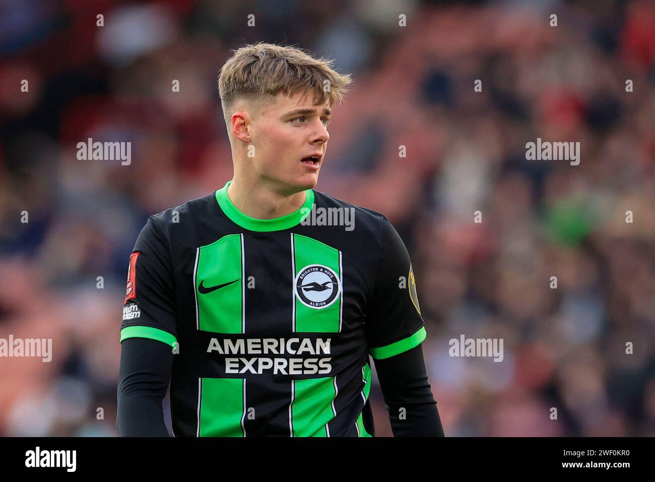 Evan ferguson brighton 2024 hi-res stock photography and images - Alamy