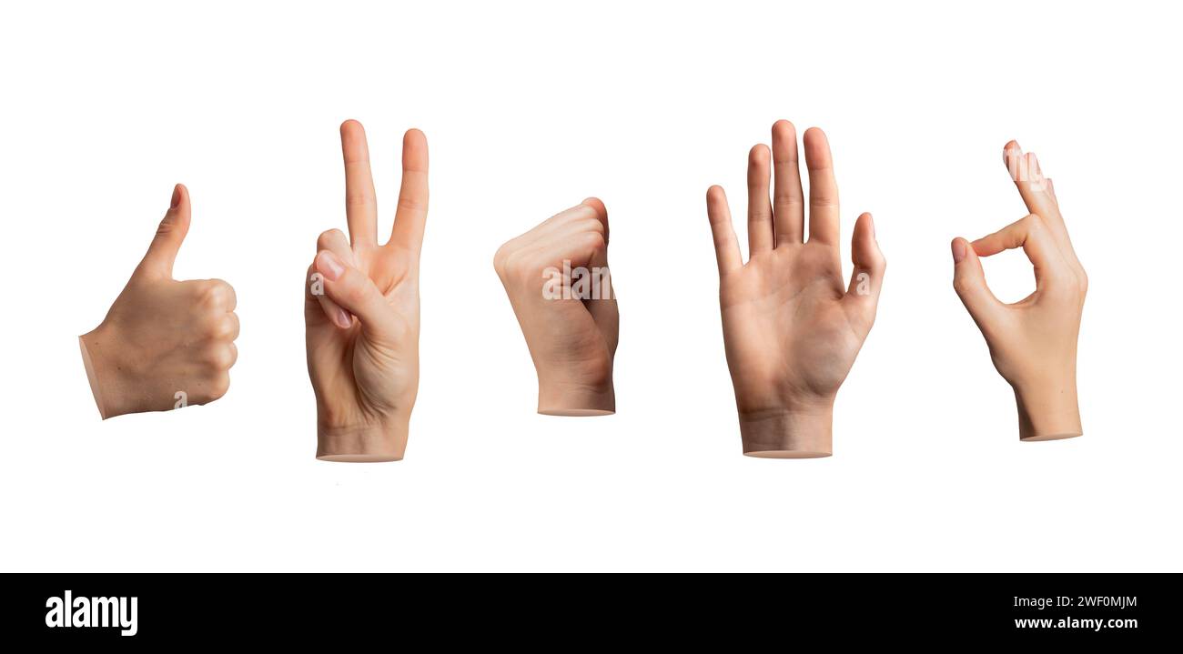 Good hand gestures set. Thumb up, V sign, fist, hi greeting sign, ok ...