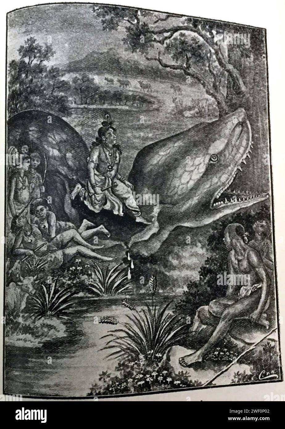 Another dinosaur hi-res stock photography and images - Alamy