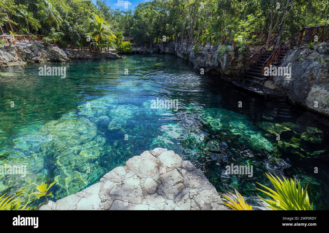 Mexico tourism destination, caves and pools of Cenote Casa Tortuga near ...