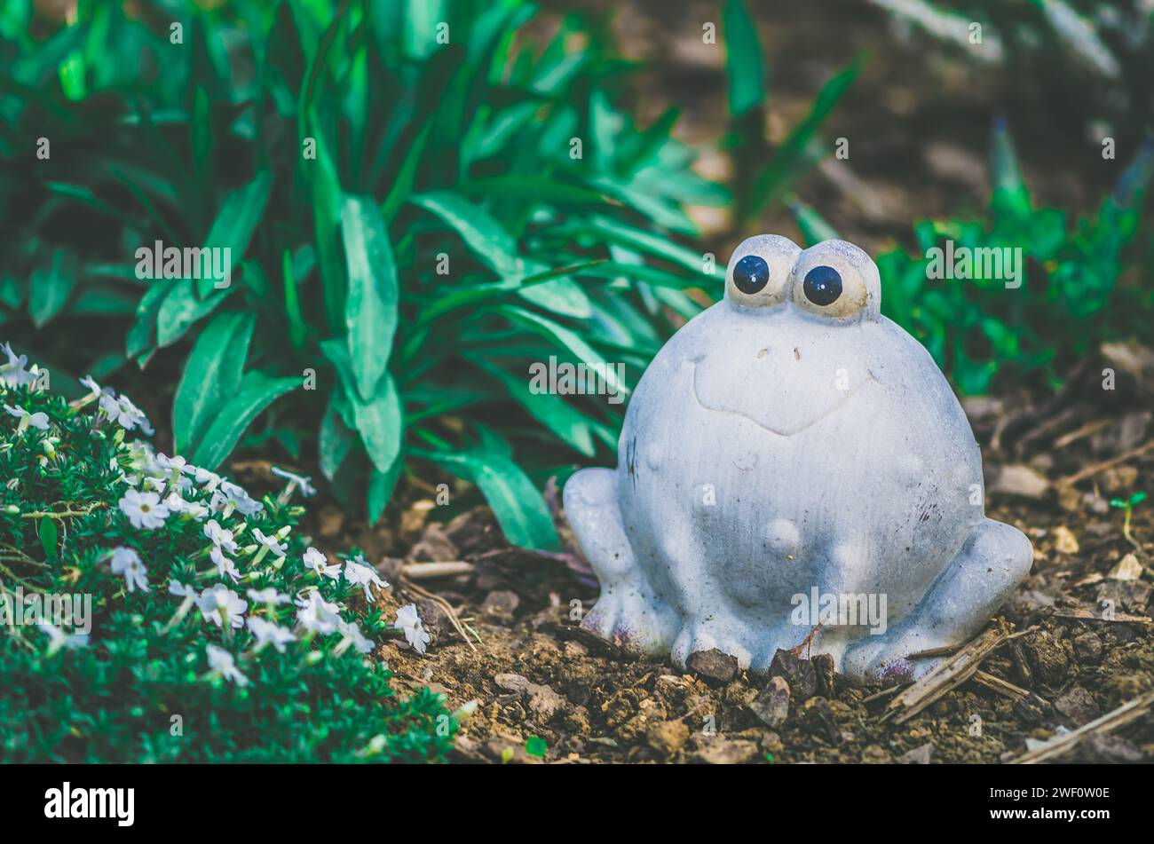 Ceramic garden frog hi-res stock photography and images - Alamy
