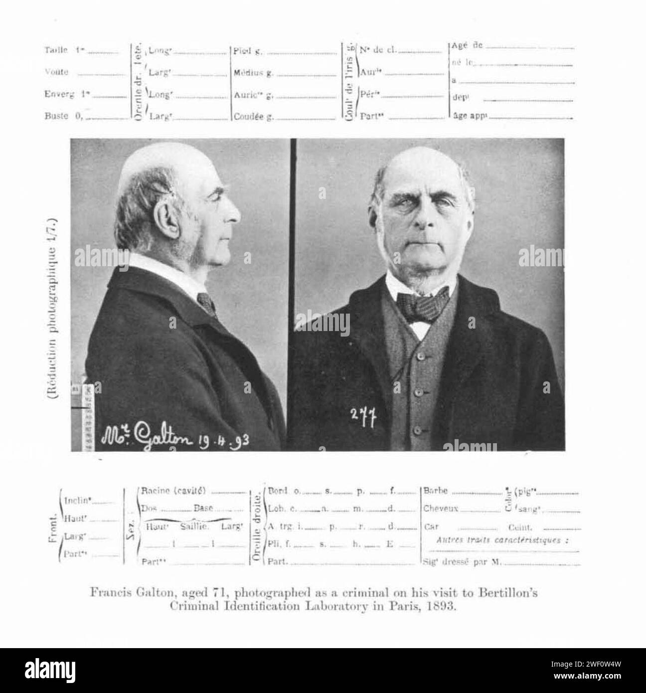 Anthropometric hi-res stock photography and images - Alamy