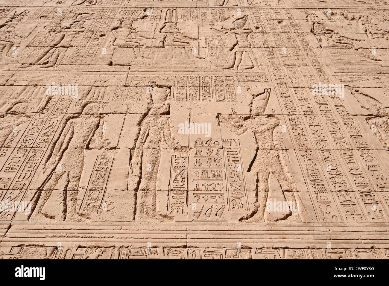 Qena, Egypt - December 27 2023: Bas reliefs on Dendera temple or Temple ...